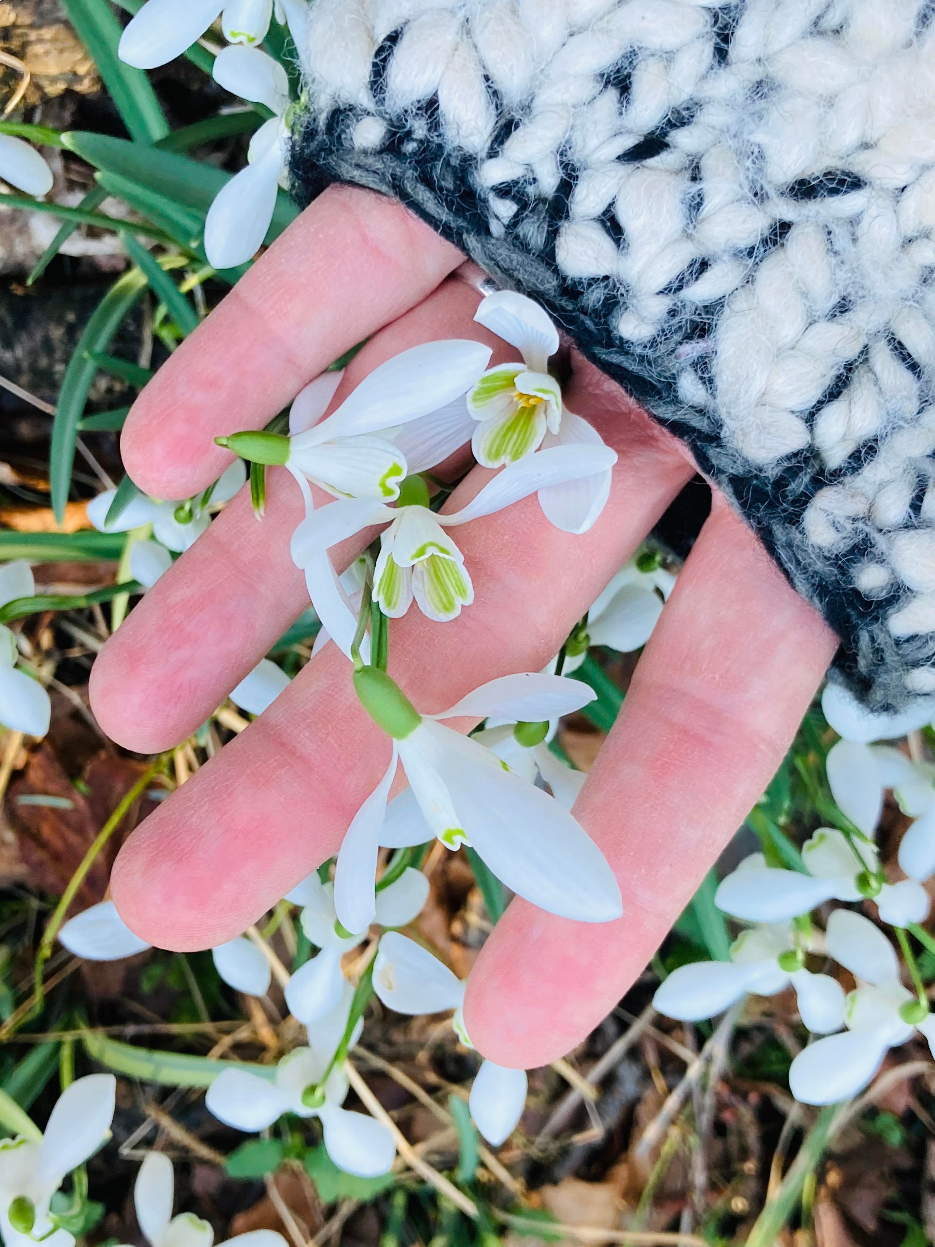 My Beautiful Reality - February - by Claire Venus