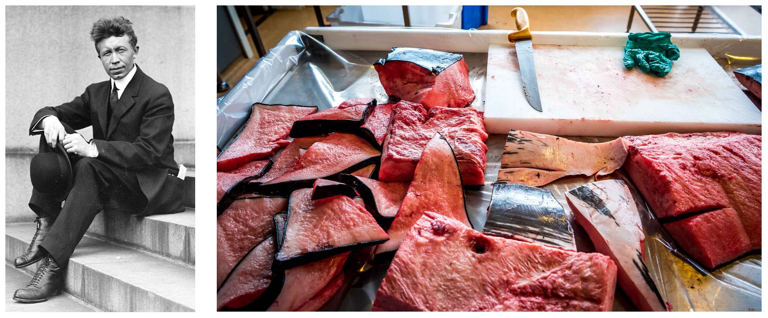 Meat the Myths: Top 8 Carnivore Diet Misperceptions