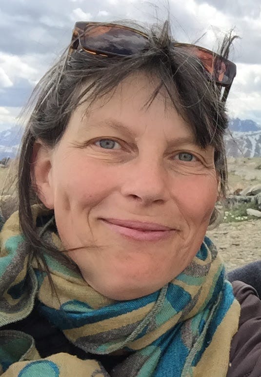 Didi Pershouse | Substack