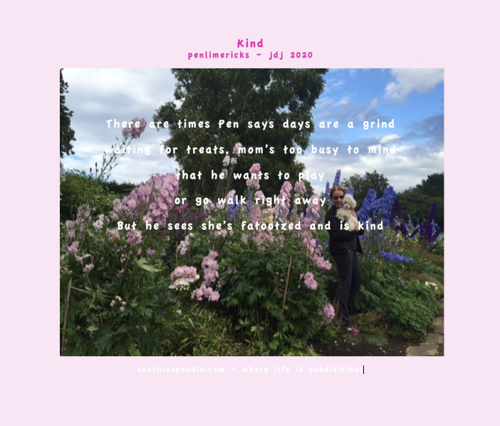 Kind - by Janet Dulin Jones - Words for the Weekend