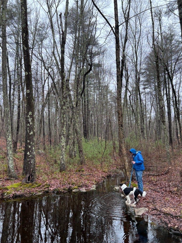 What happens when I trust myself? - by Nic Antoinette