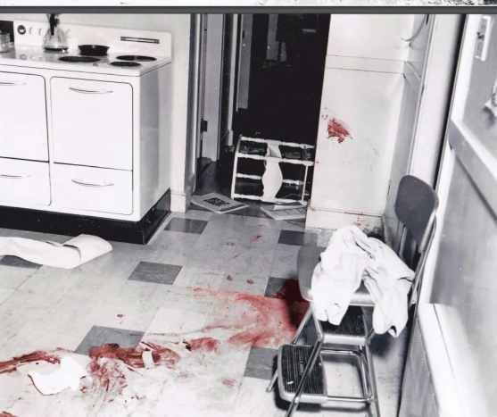 The Bizarre Disappearance of Joan Risch - by Michelle Short