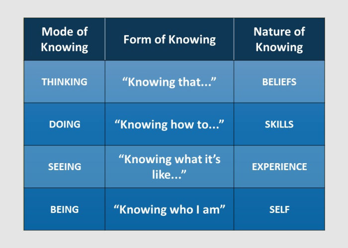 Demystifying Mindsets - Create a Future-Fit Culture