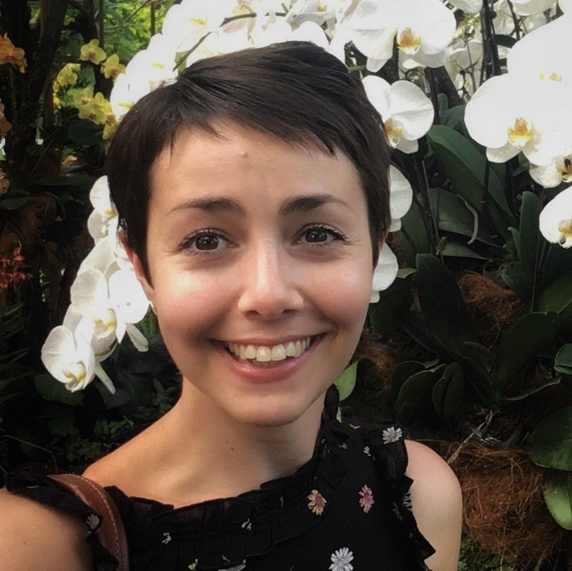 Data+Drawing with Sophie | Substack