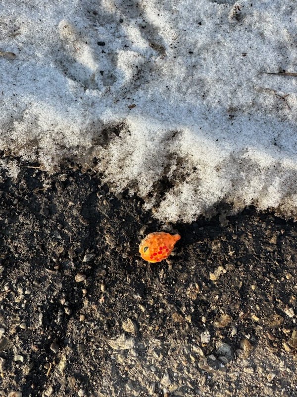 Good Feeling (Violent Femmes cover)