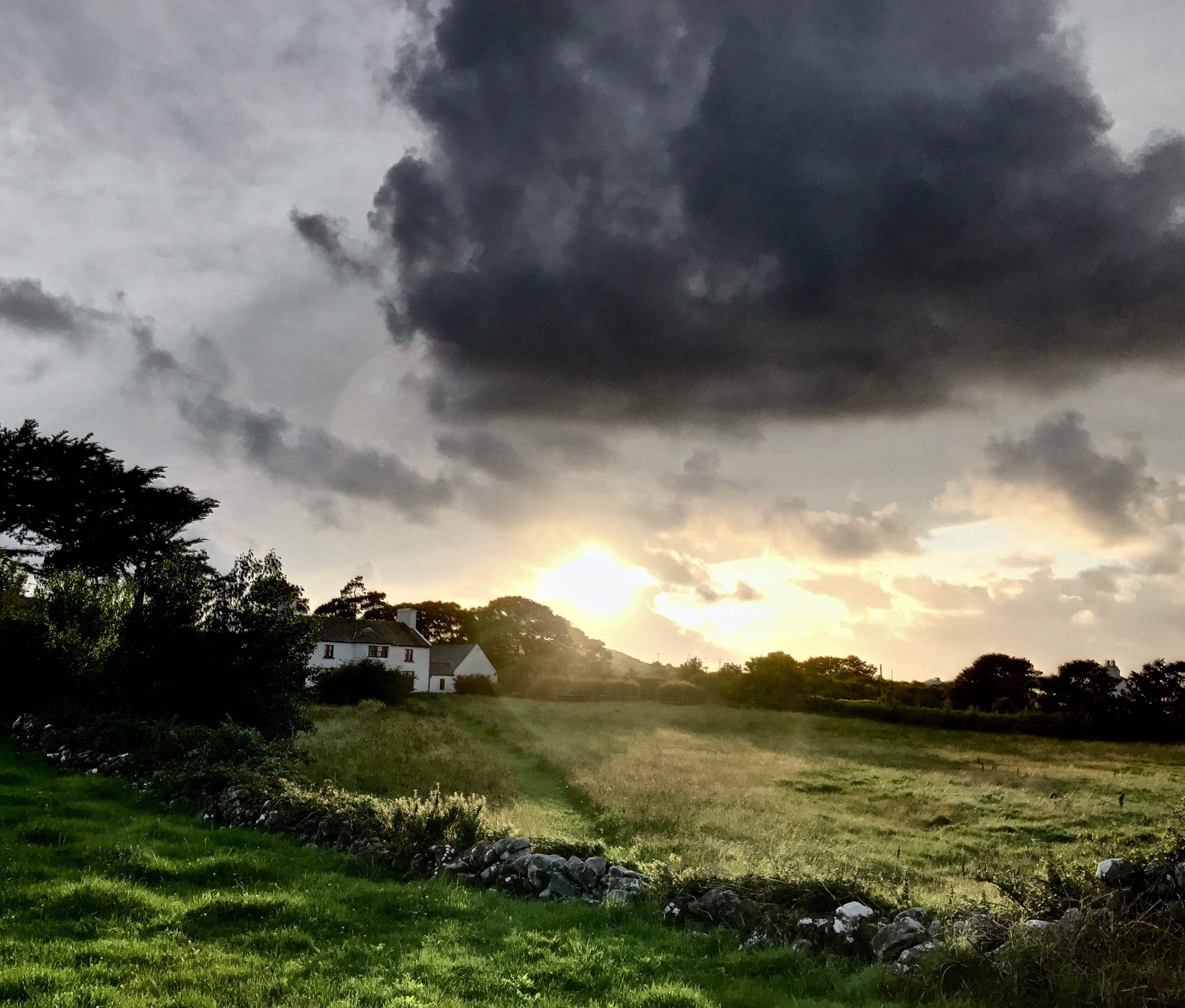 Start Close In - David Whyte