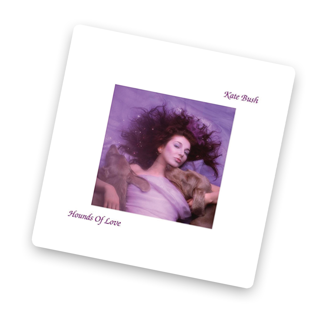 Ugly Crier's Substack Stocking - by Ang Collins