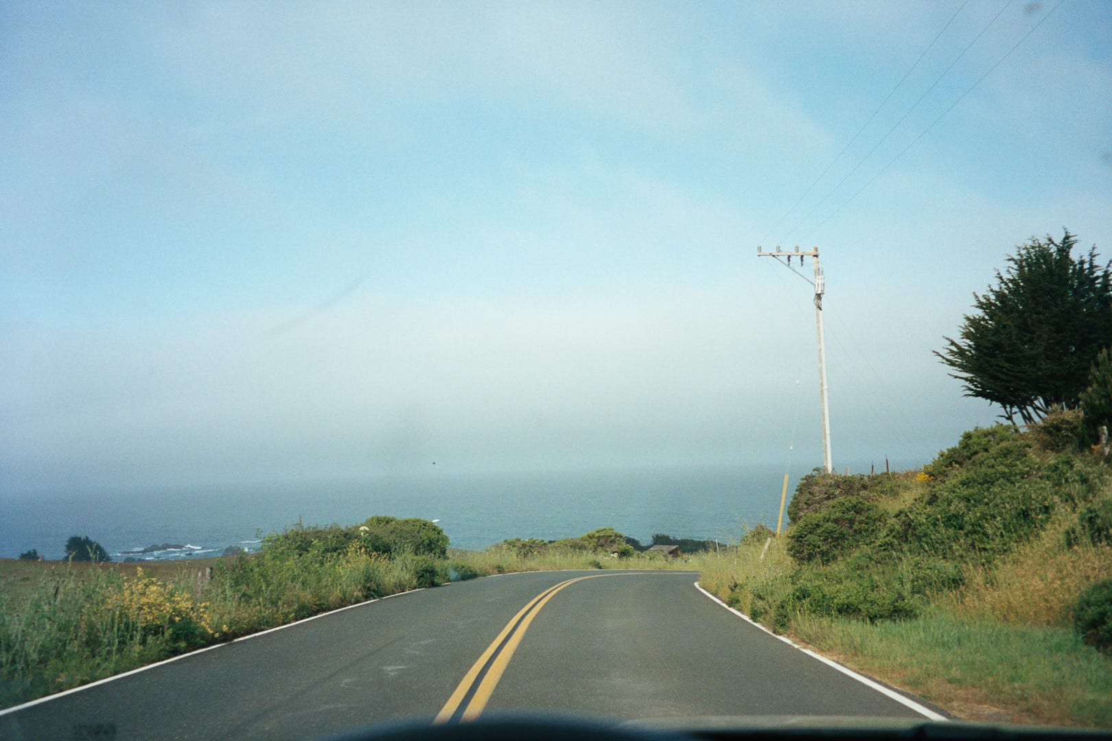 Thrown out of the nest - Human Stuff