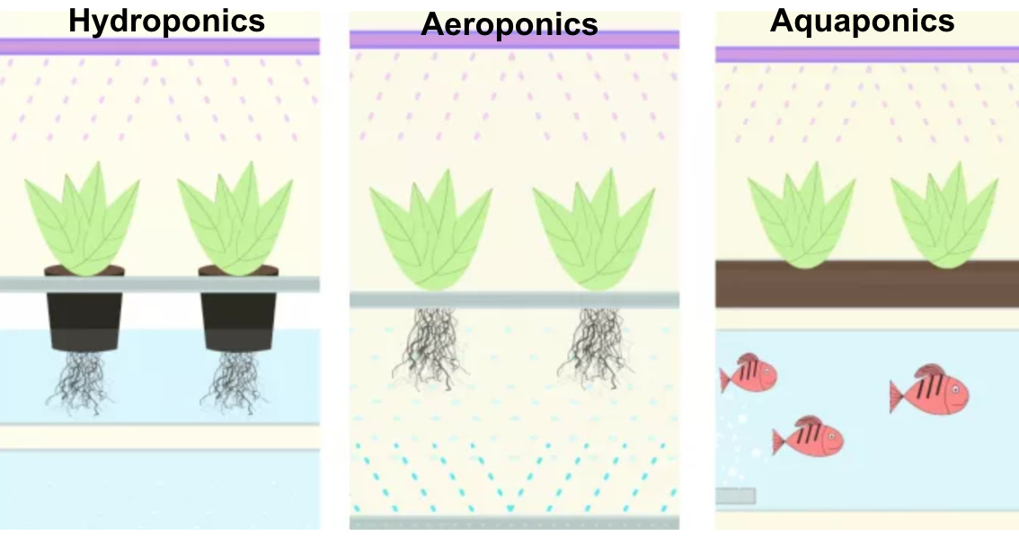 #15 Vertical Farms - by Javier Gascón