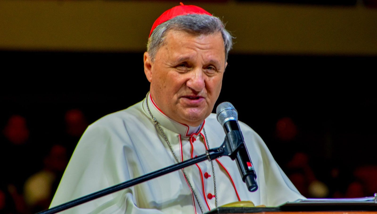 Cardinal Grech sets out vision for ‘rainbow’ synodal Church