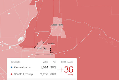 An extremely detailed map of the 2024 election