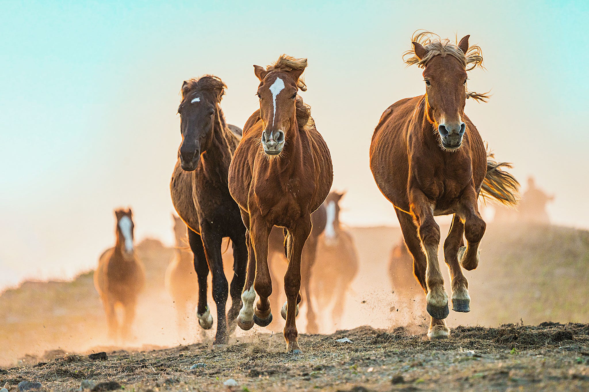 What is Junma Award? - DeepChina