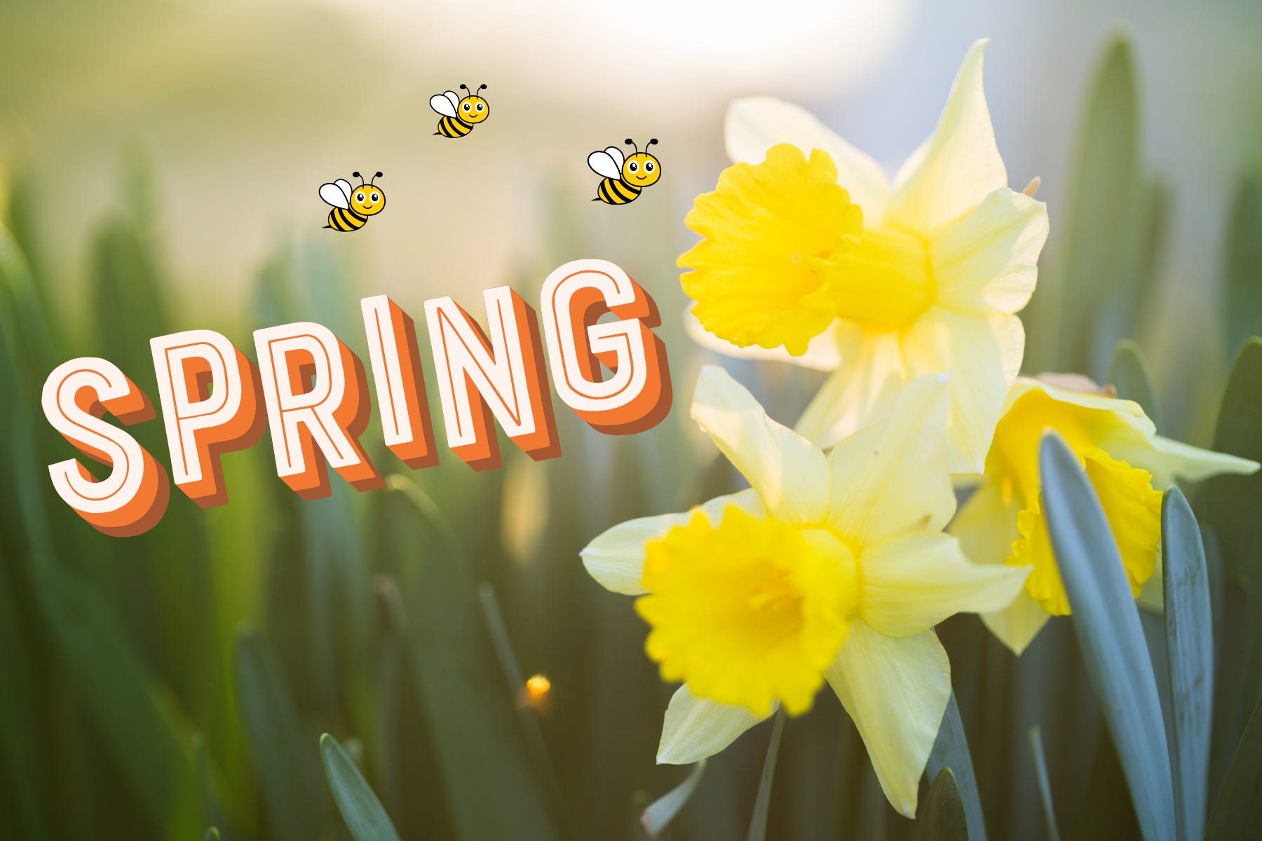 Look How Your Life Will Change Once It’s Spring!