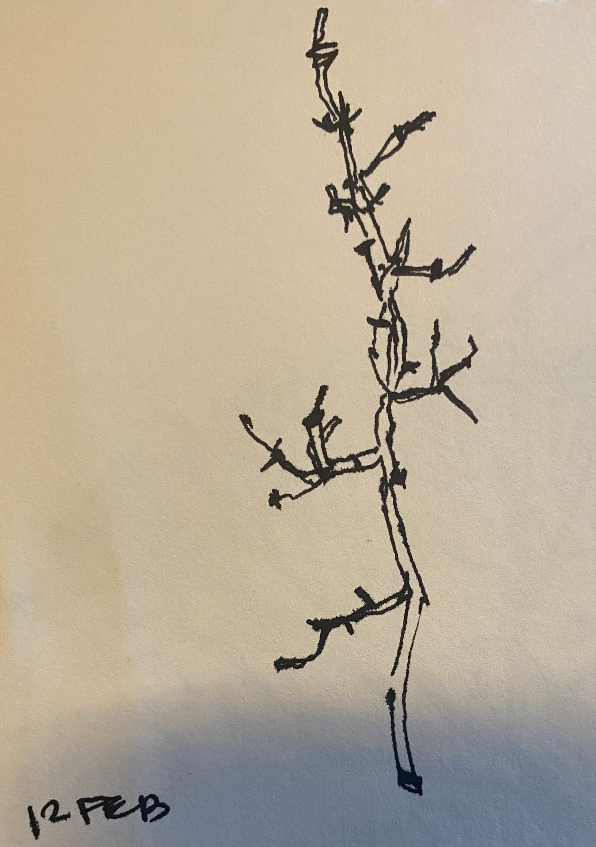 A daily documentation practice - by Mukta Naik