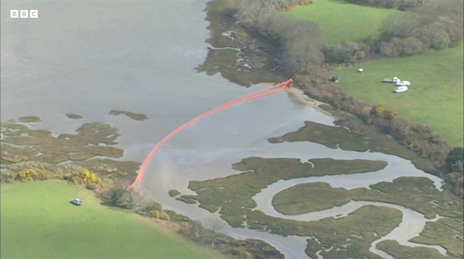 Poole Harbour oil spill: what we know so far