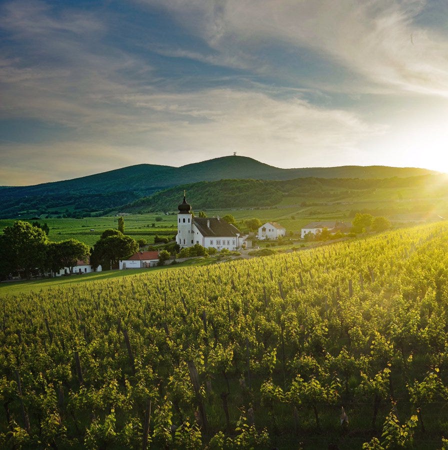The Thermenregion DAC in Austria - Weinstube Ziebarth
