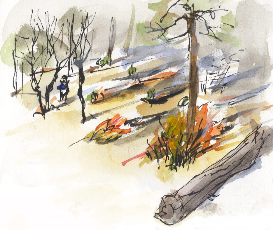 Sketching Live Fire - by Laurie Wigham