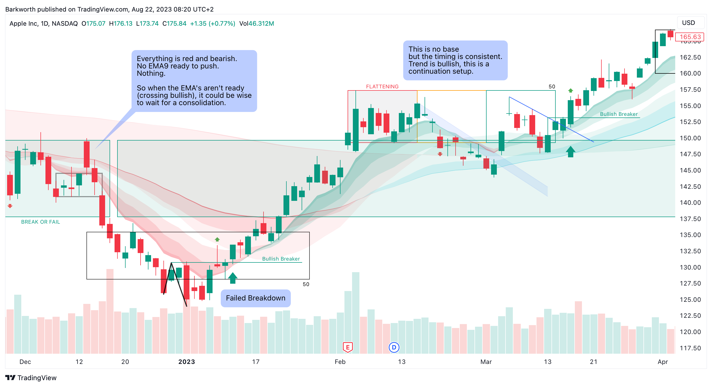 Base Box Anatomy Examples Pt.1 - The Barkworthy Notes