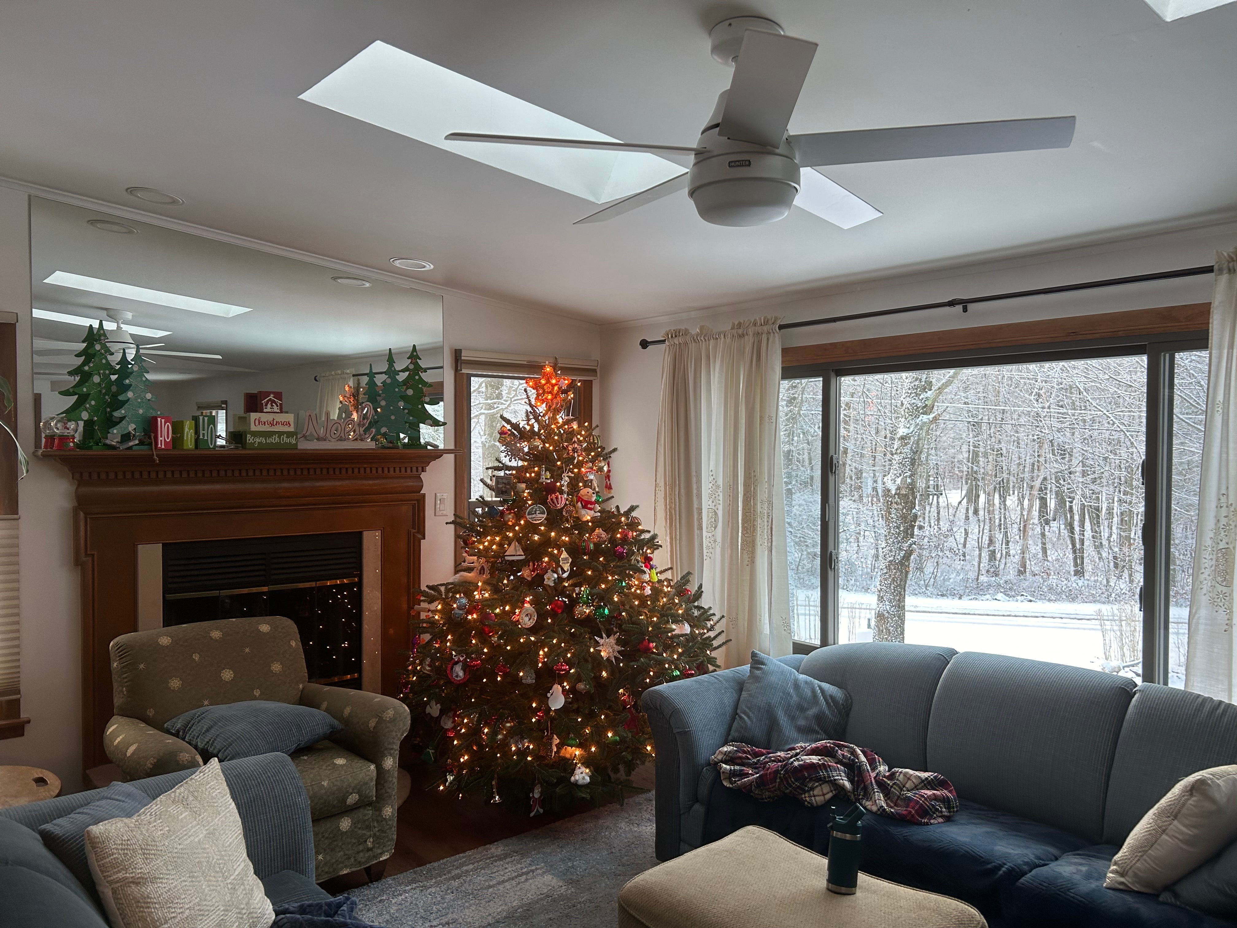 Organizing for the first time - by Adriana DiFazio