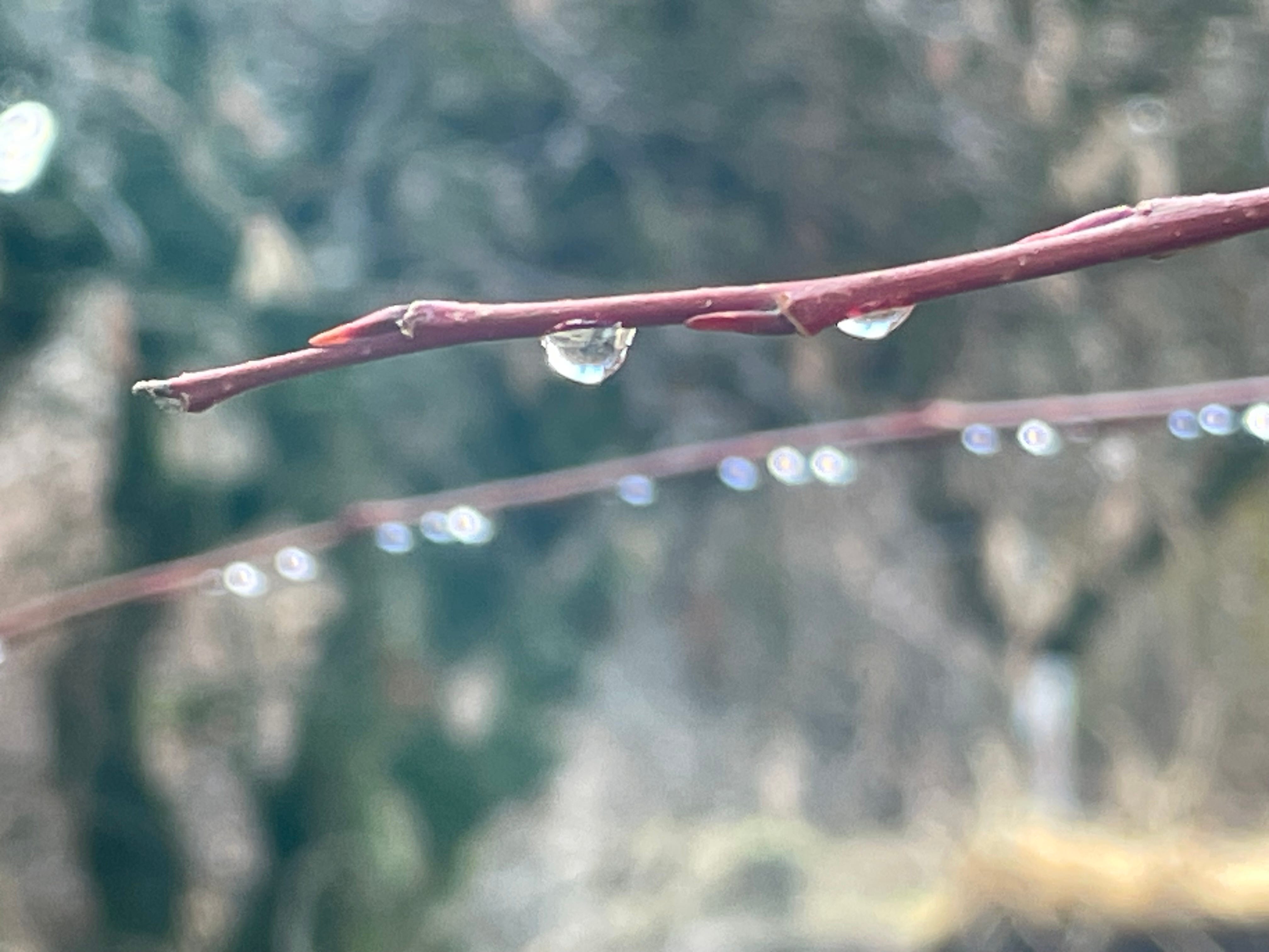 mend is a place - by Sarah C Swett - The Gusset