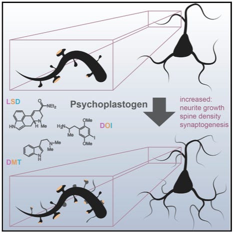 Psychedelics, neuroplasticity, and intracellular 5HT2A receptors...