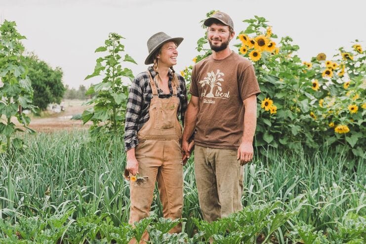 Boundless Farmstead | Substack