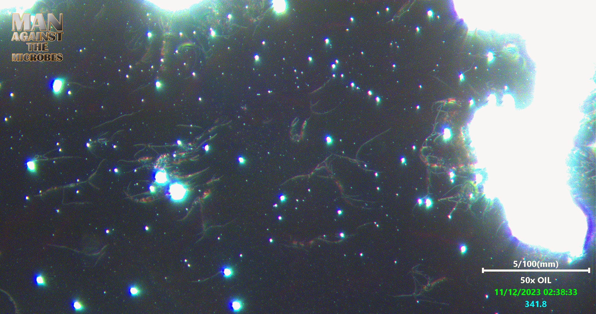 THE TECHNOLOGY #4 The clever morphology of dot/cyrstal/gel structures.