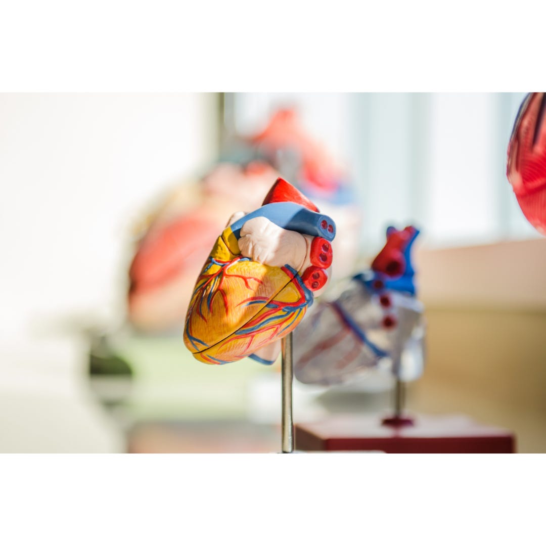 Your heart- Life’s Drummer - by Mohamed Caffoor