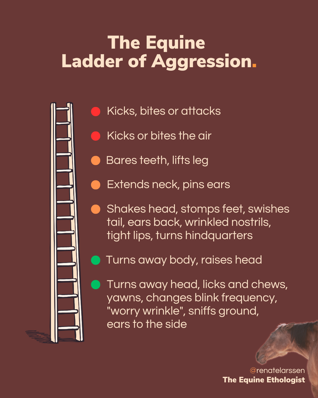 The Equine Ladder of Aggression - by Renate Larssen