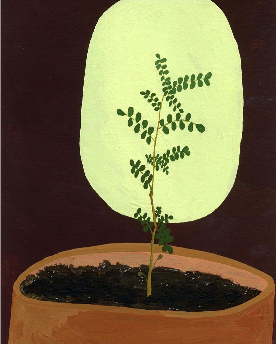 Creativity and alone time - Victoria’s Substack