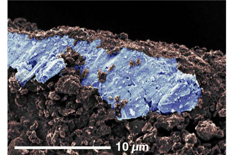 🔎 The Curiosity Files #1 - by CF - The Curiosity Files