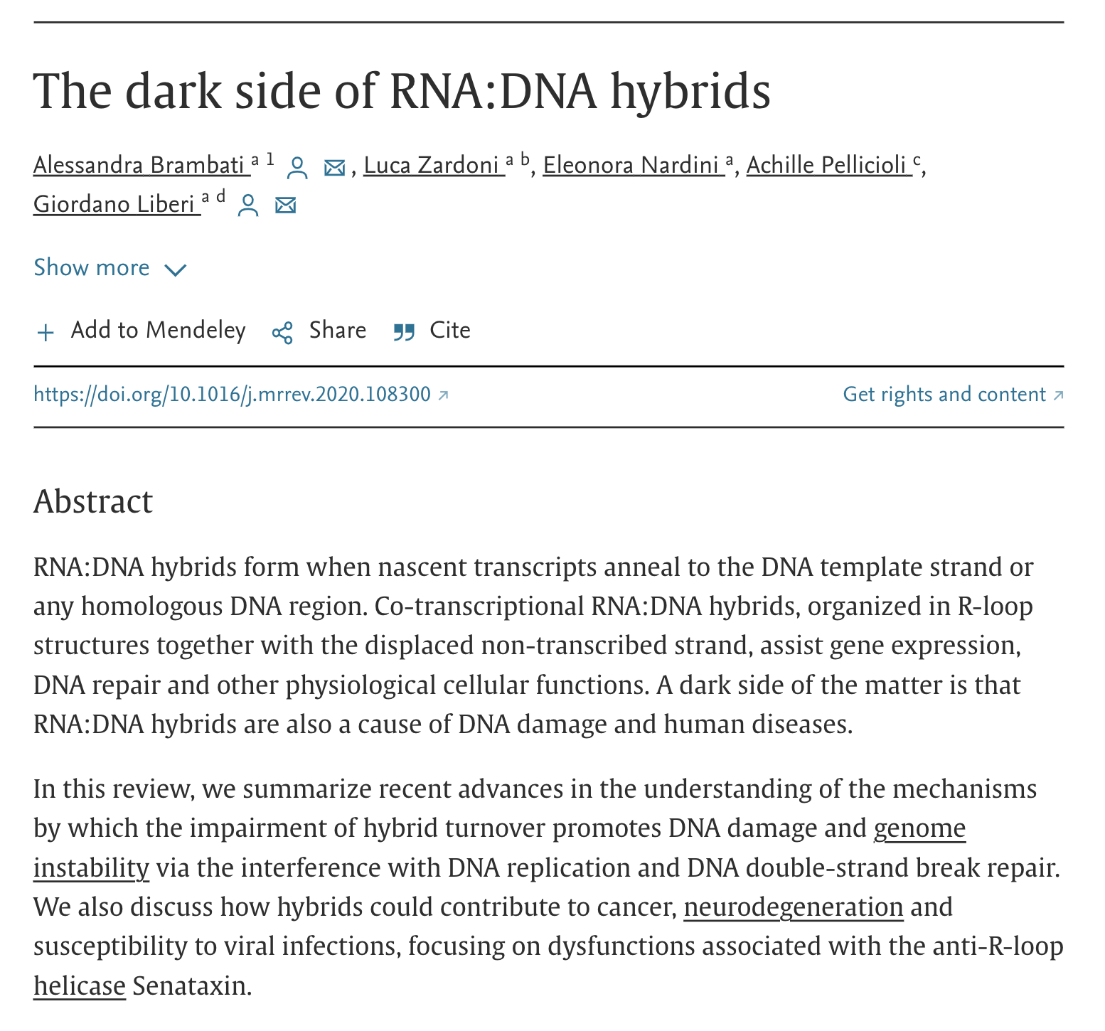DNA-RNA hybrids, R-Loops and nuclease resistance of the mRNA vaccines