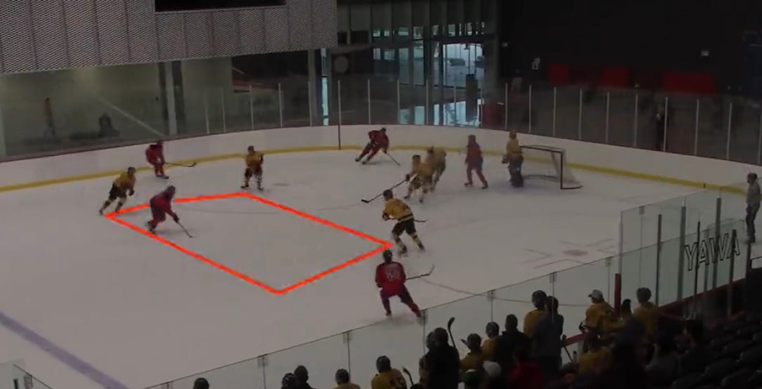 Point Activation For Ice Hockey Defensemen - by Greg Revak