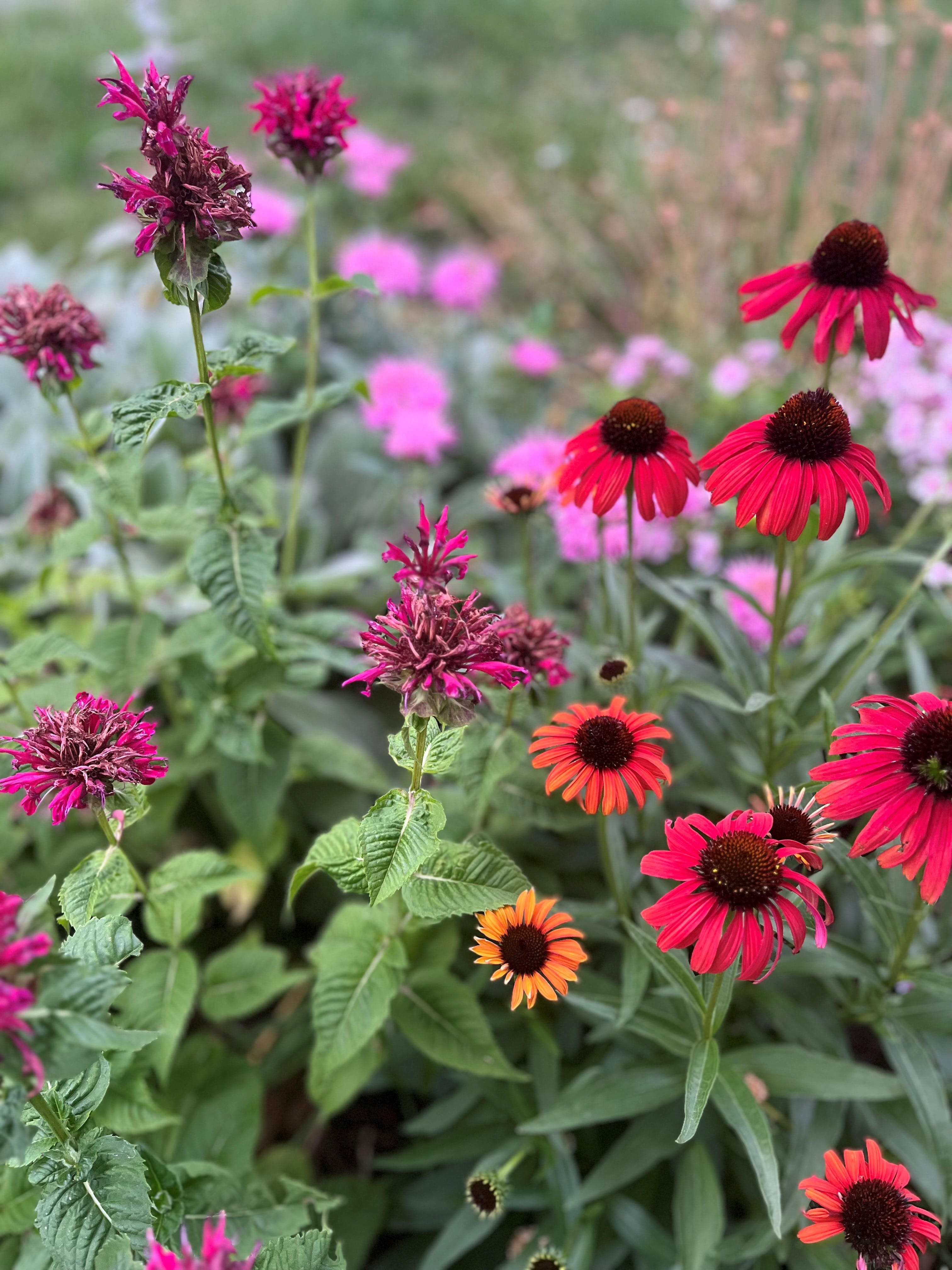 Making Space for Priorities - by Wendy Cichanski Caduff