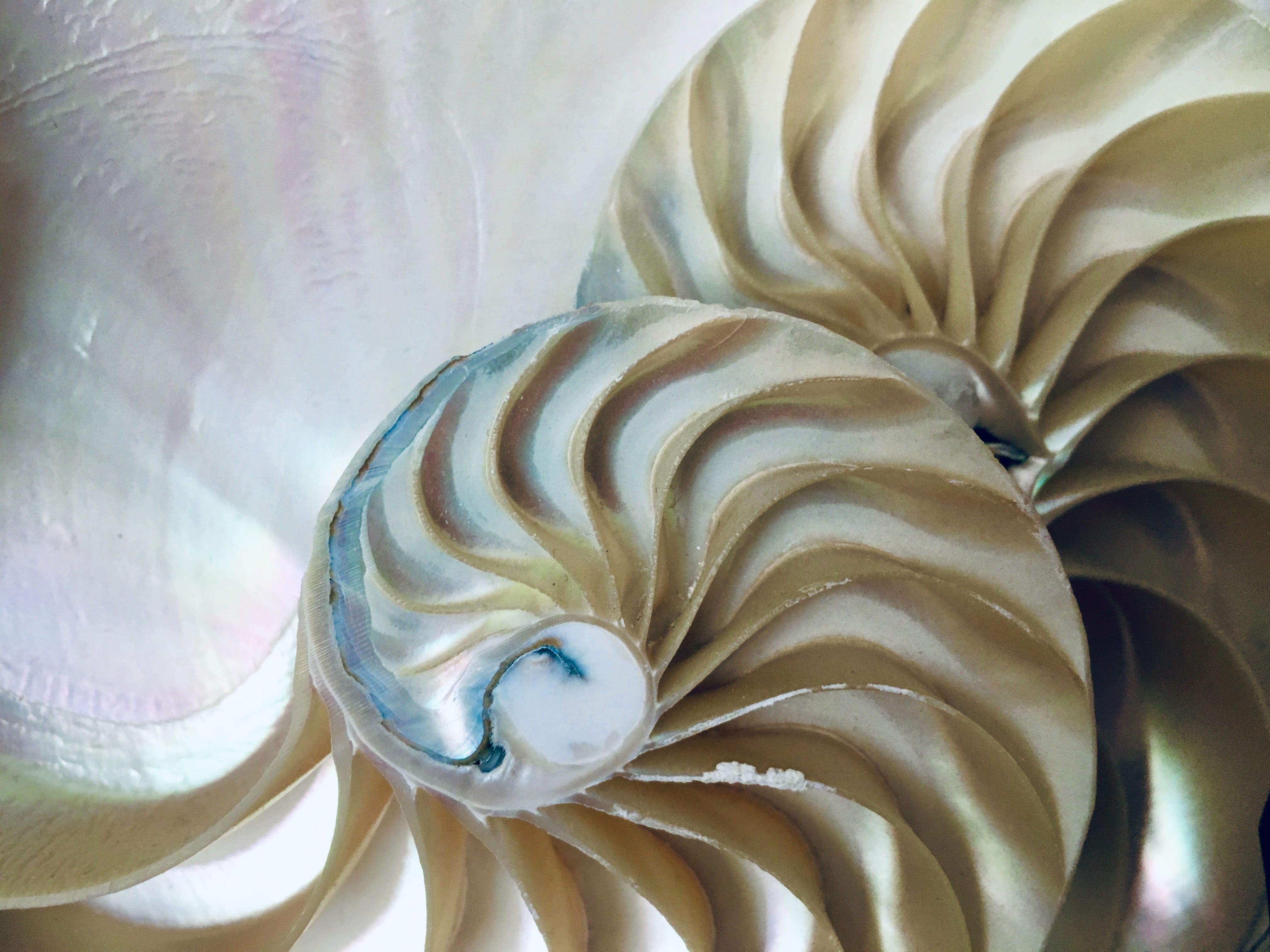 The Beauty of Flash Fiction - by Kathy Fish