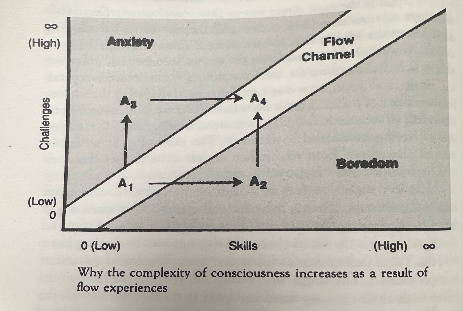 Music, States of Consciousness and Flow - by Brian d'Souza