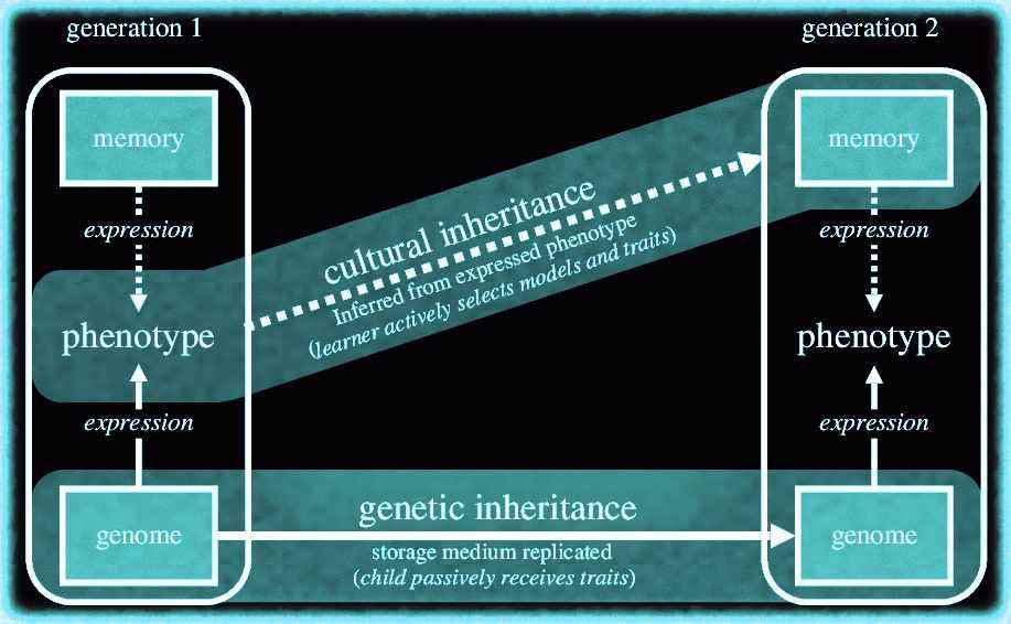 Reflections of Deception - ᴋʟᴀᵾs