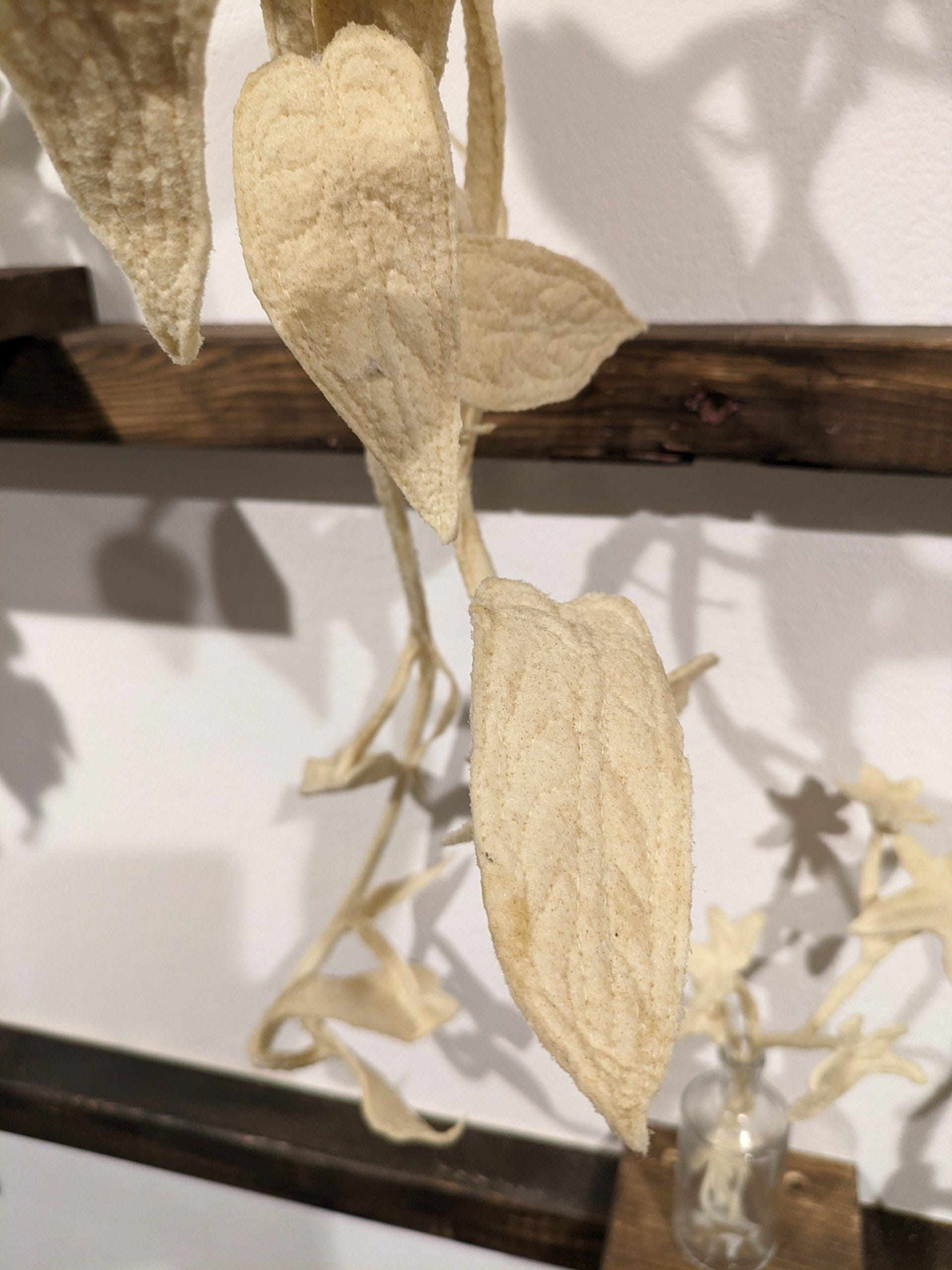 Art Review - The Social Life Of Wallflowers