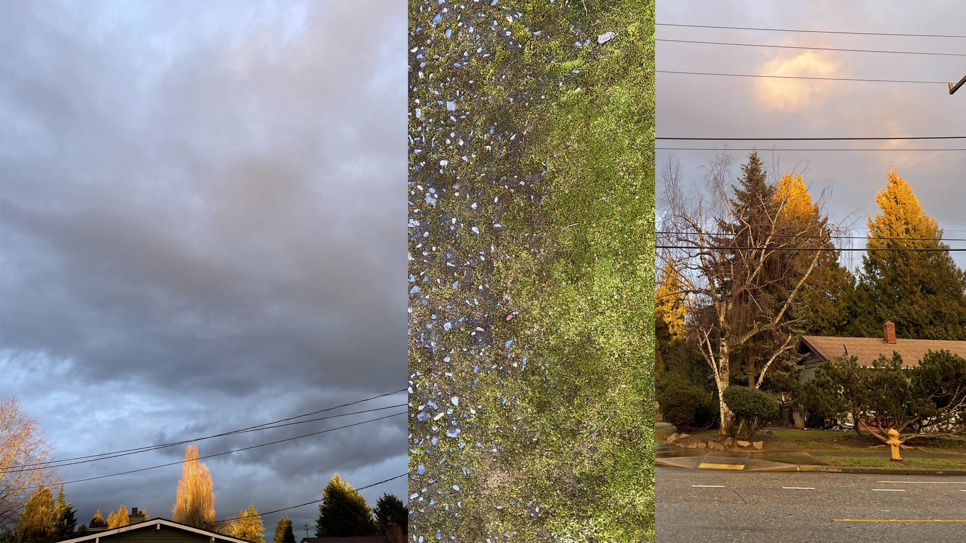 Creative practice looks different every day. - by Julie Bea