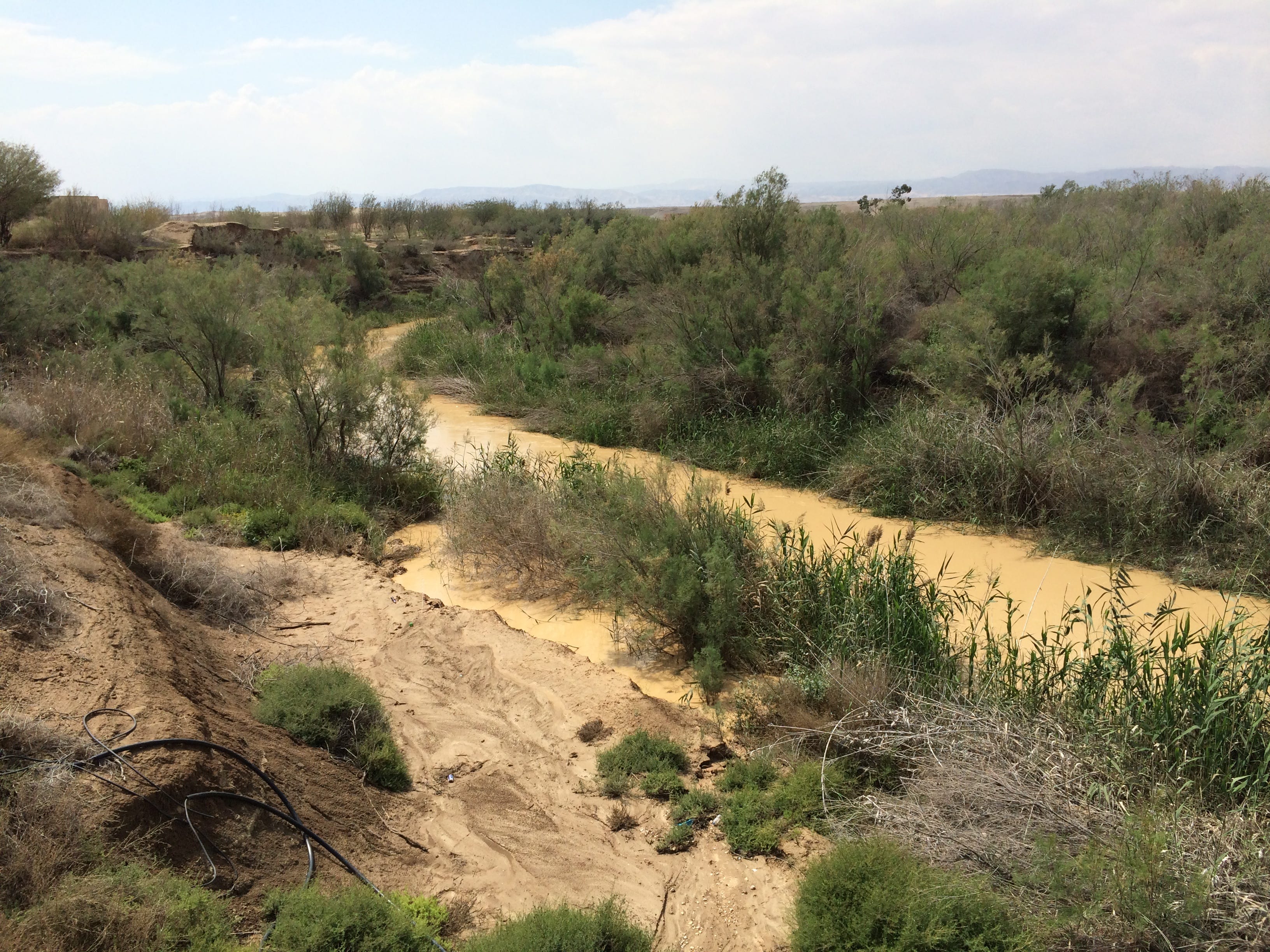 What’s in a name? Stories of interrogation at the Israeli border