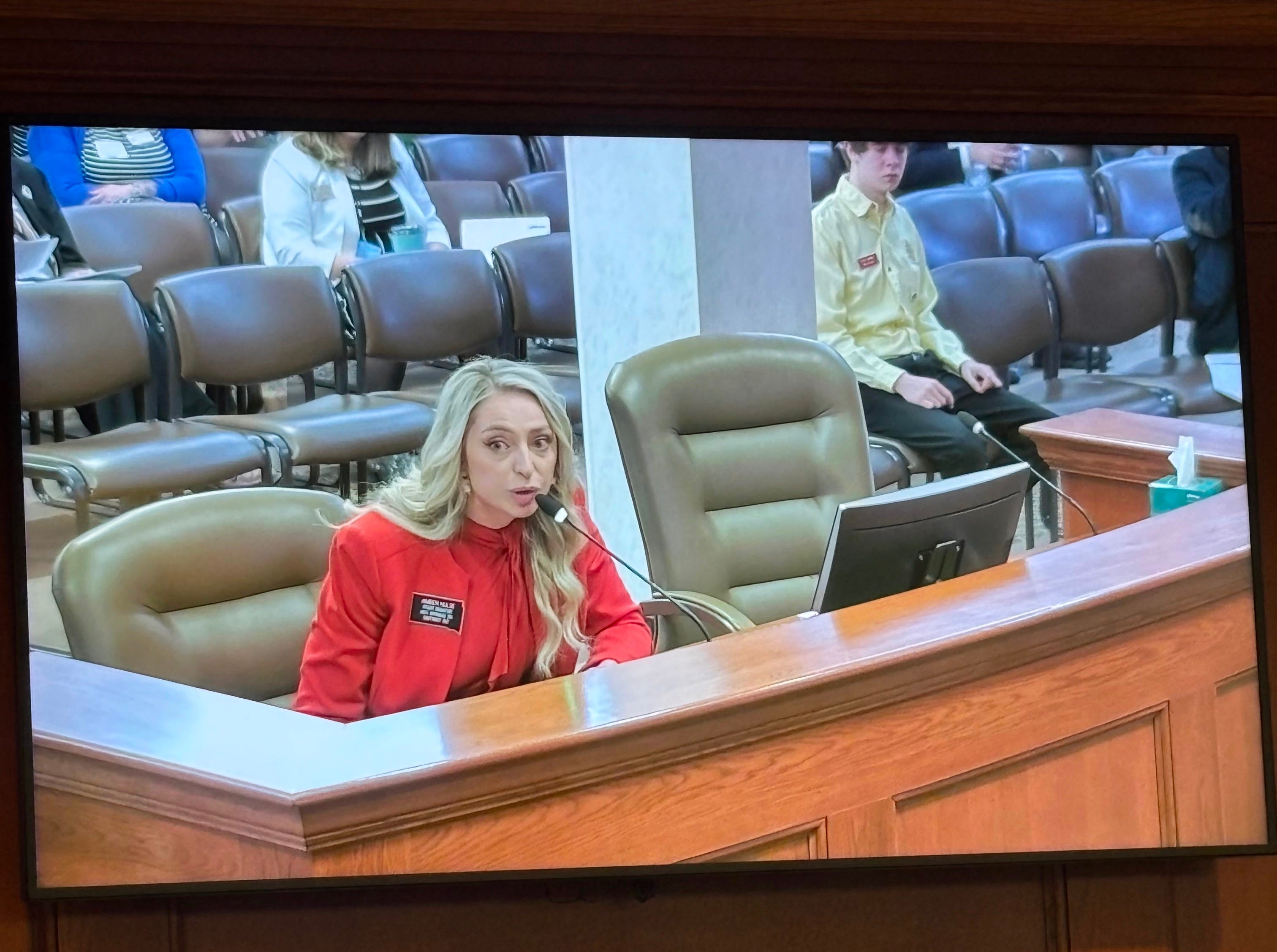 Sen. Amber Hulse’s voter ID bills turn friends into enemies