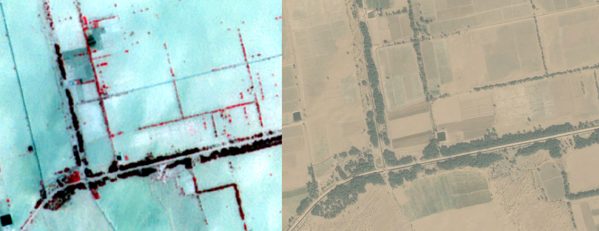 Exploration of the brand new LISS4 data release and opportunities