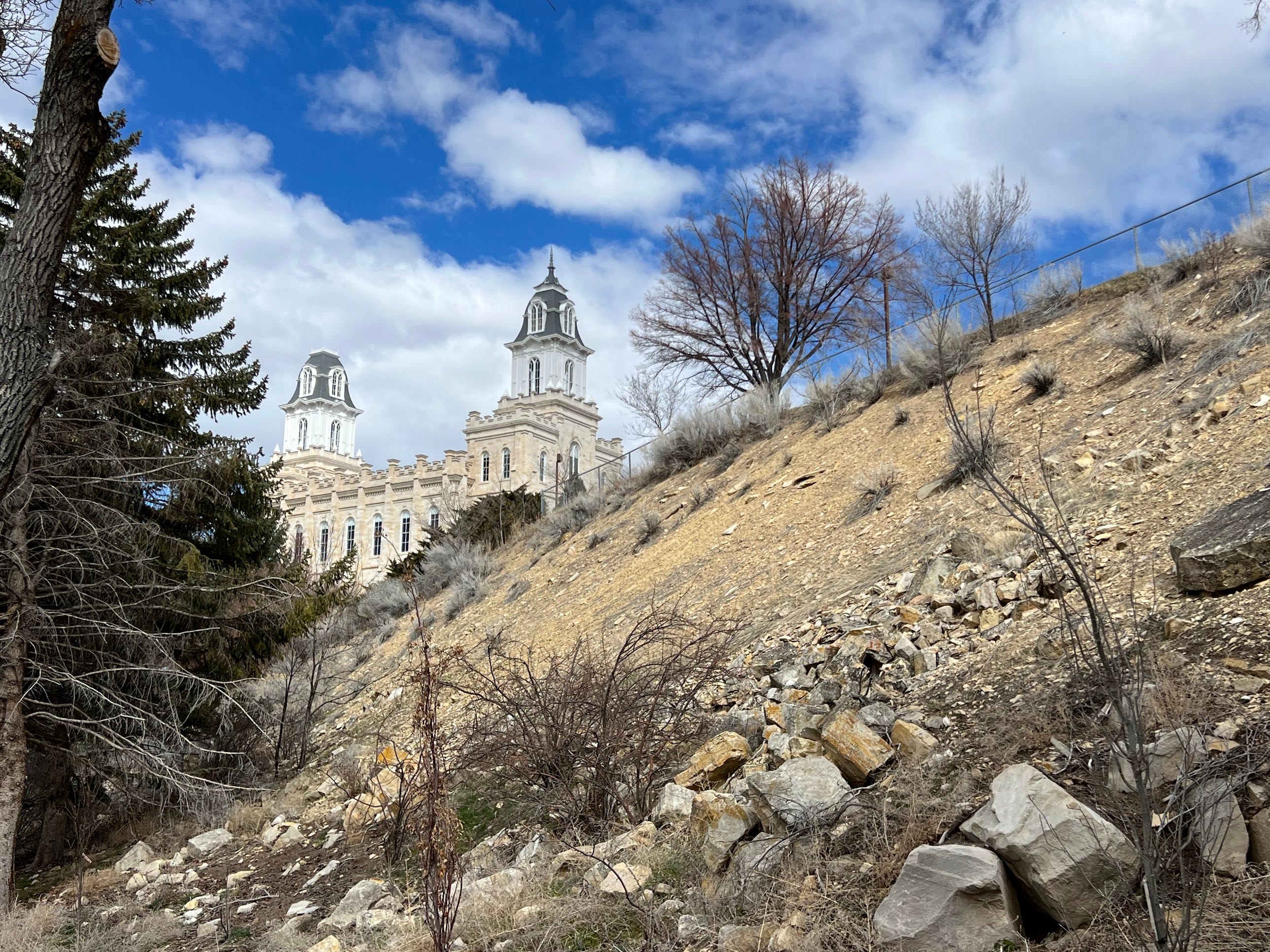 From grave to garden - by anita wells - anita’s Substack