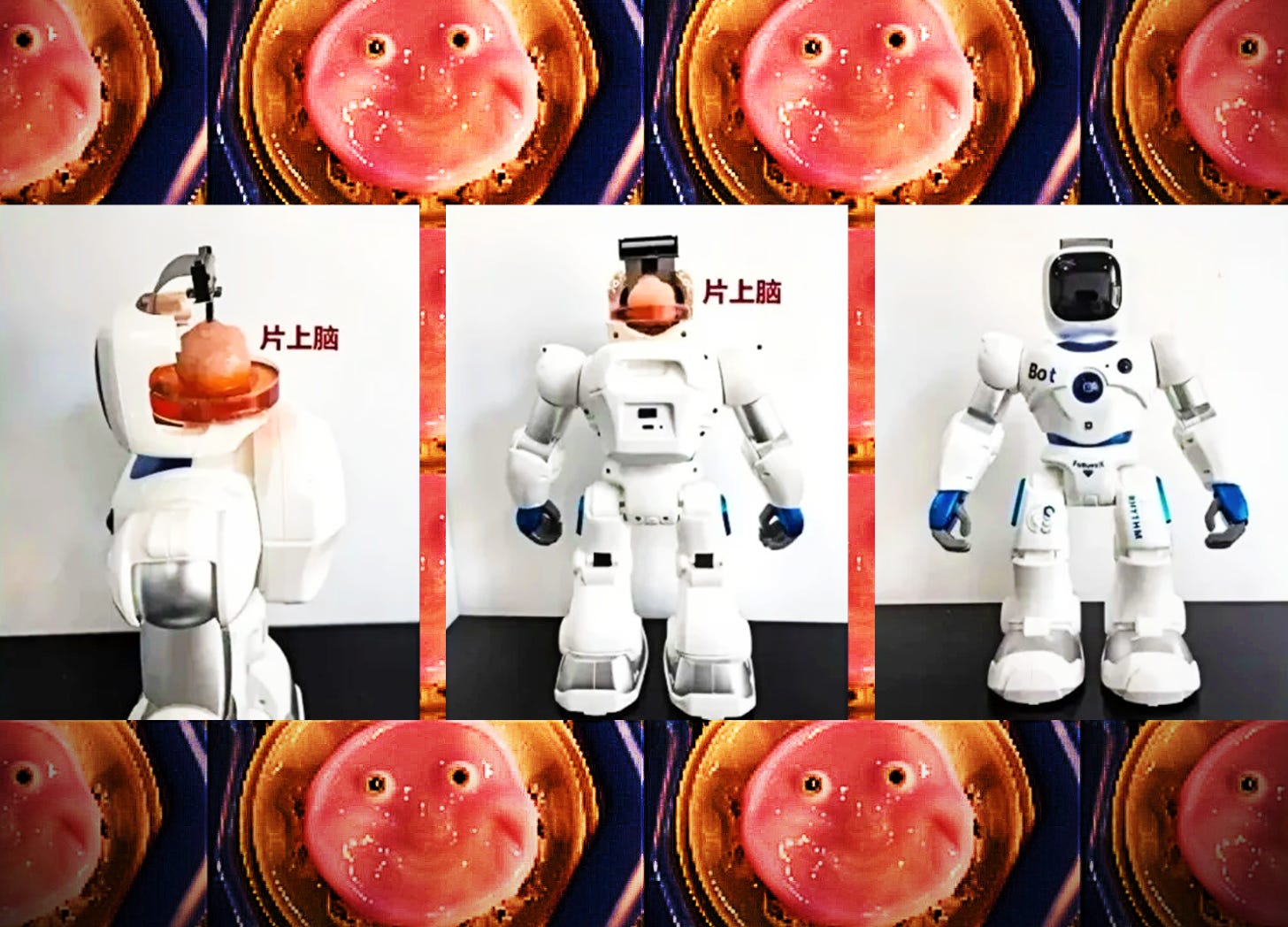 New 'Organoid Robot' Uses Lab-Grown Human Brain Organoids To Mimic ...