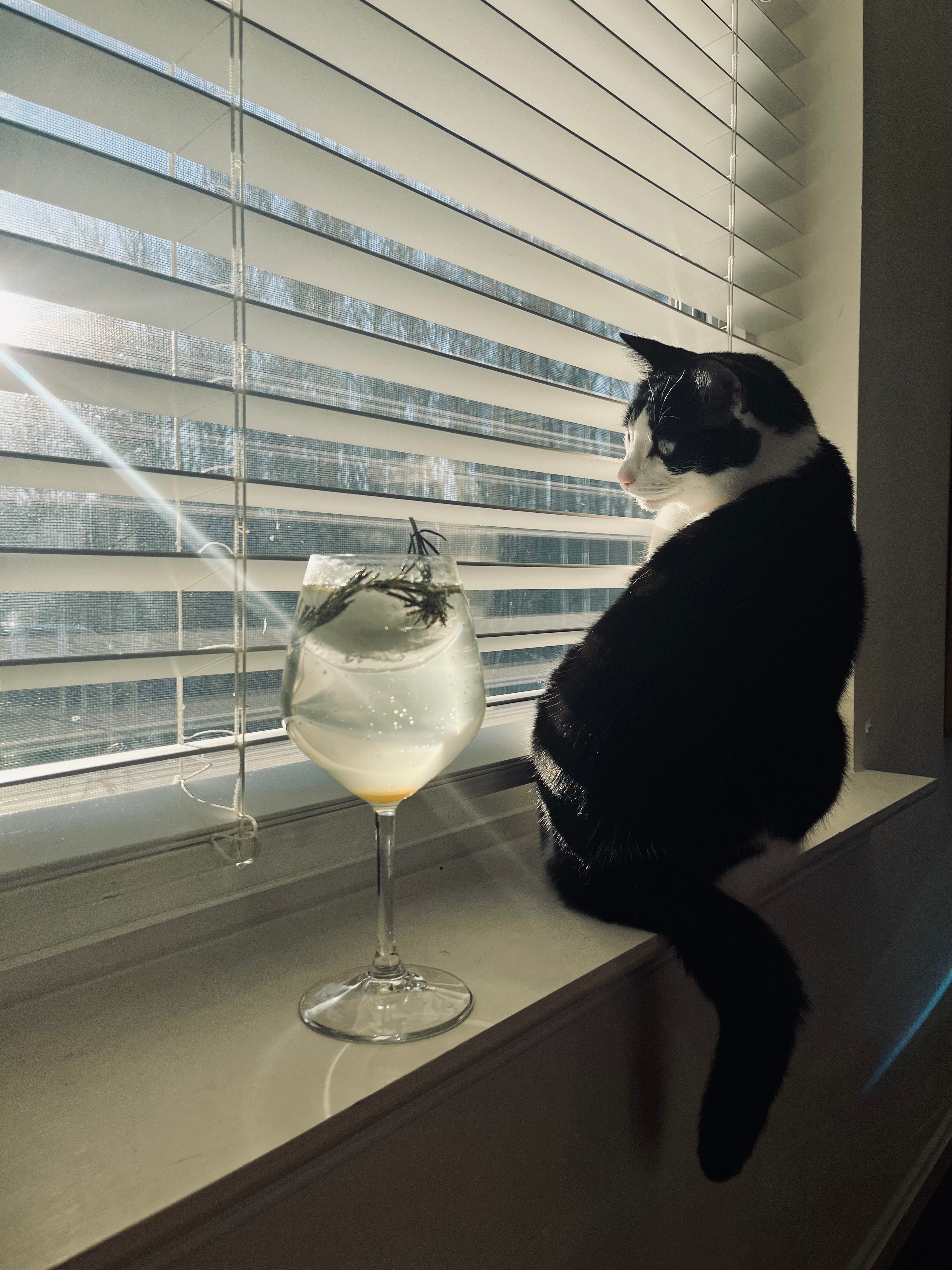 Dry vs. Damp January - by Victoria Concepcion