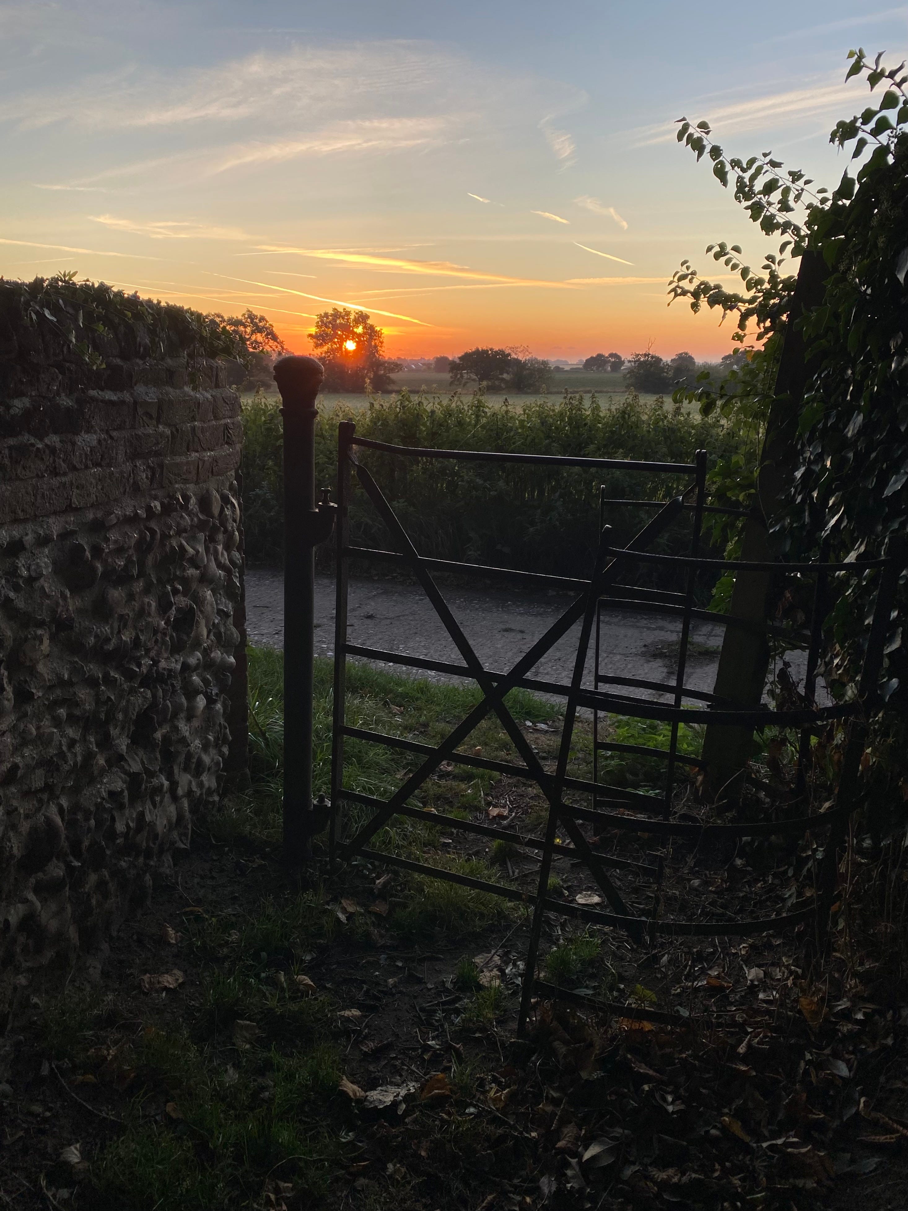 The Nut-Brown Maiden - by Imogen Ashwin - Bracken & Wrack