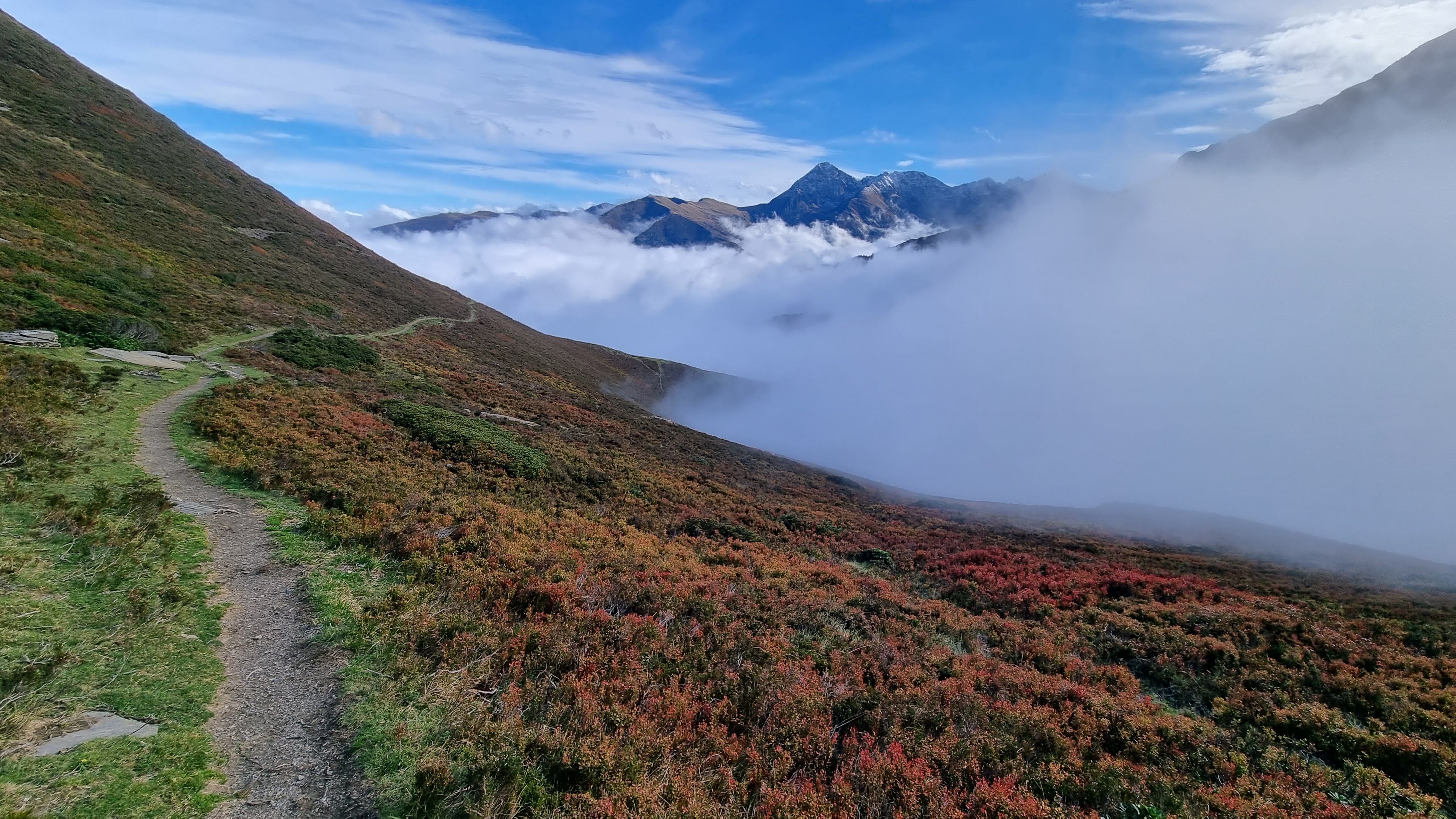 Return to Craft - by Ben Dhiman - The Speedhiman Substack