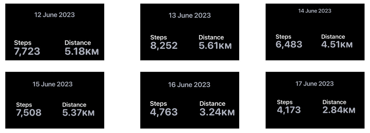 Walking a million steps - Prologue - by Vishal B