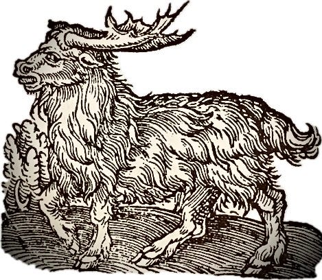 Hircocervus - by Evan Atlas - Mapping with Atlas