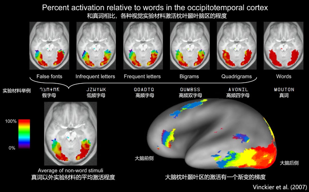 Chinese Readers Use the Brain Area for Human Face Recognition to ...
